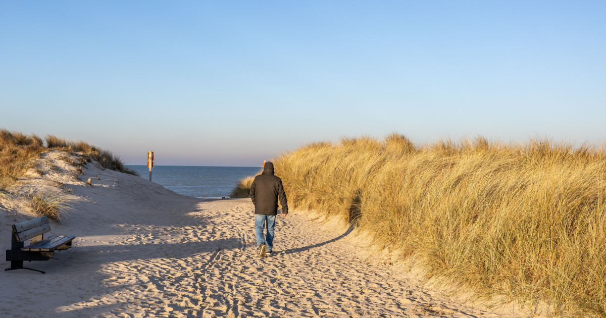 Het tweede spoortraject | Flavo Group